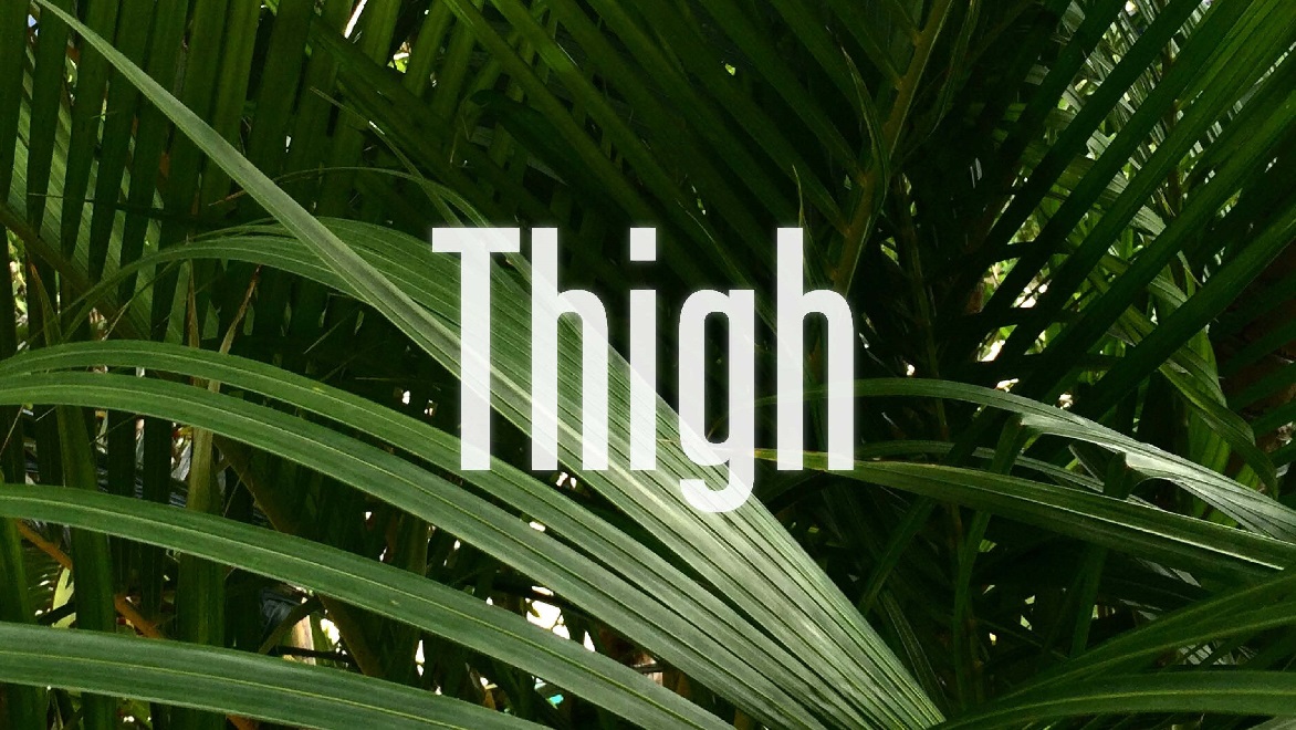 REVIEW: Lisa Alma „Thigh“ | EINEN HAB ICH NOCH